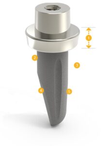 Anatomic Radial Head Solutions – Radial Head Replacement System ...